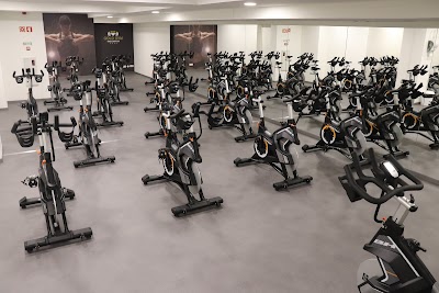 Gold Gym | Caniço | €50 per month - Portugal Fitness